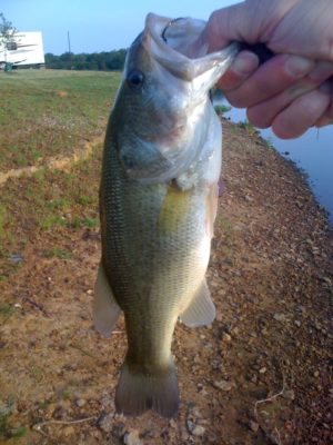 Fishing Guides – Lake Grapevine