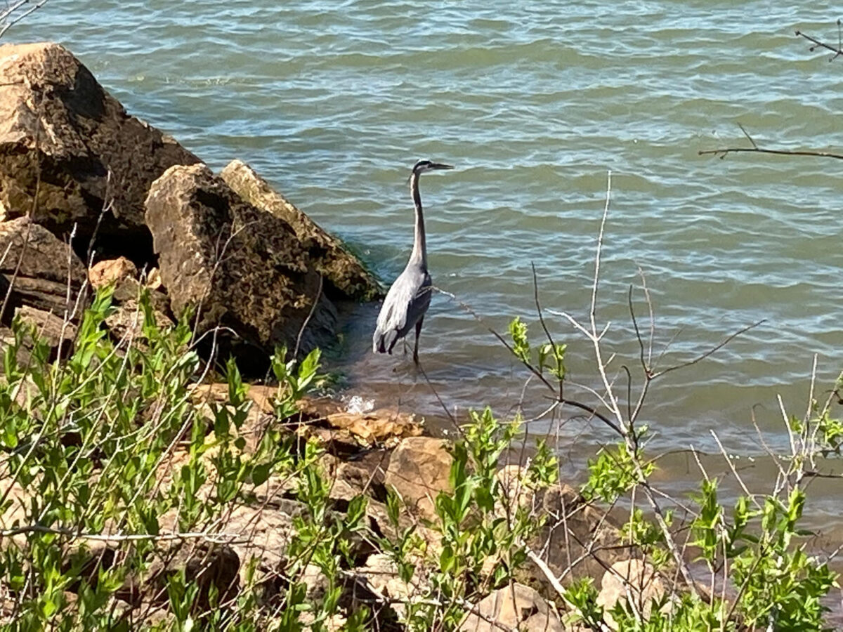 Rockledge Park – Lake Grapevine